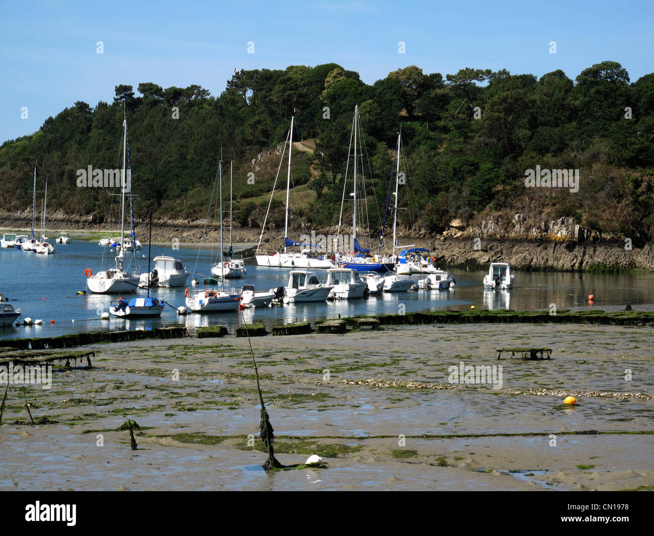 River belon finistere brittany bretagne france hi-res stock photography ...