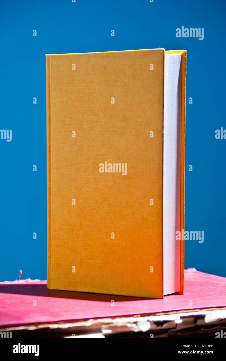 Yellow blank book in upright position Stock Photo - Alamy