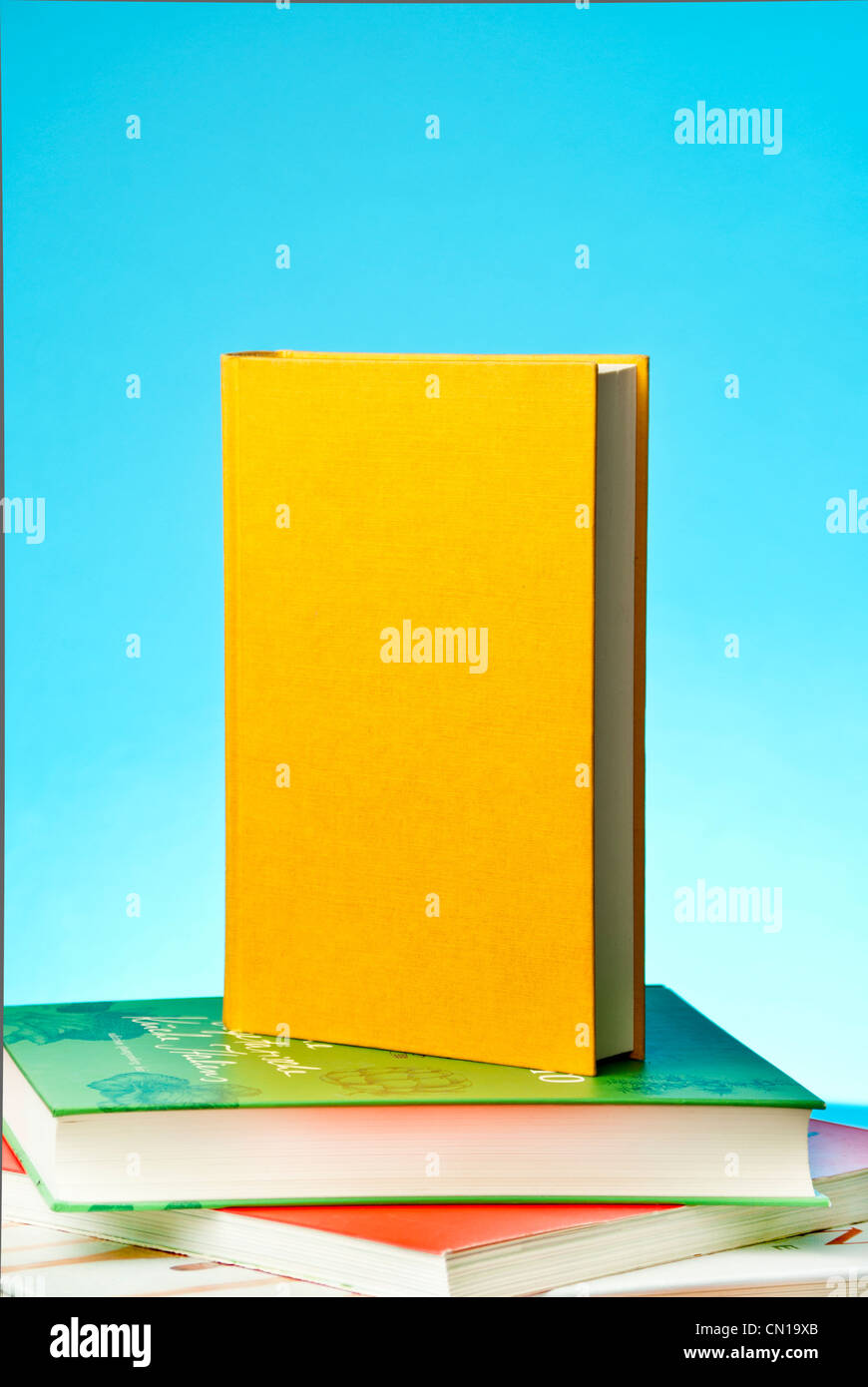 Yellow blank book in upright position Stock Photo - Alamy