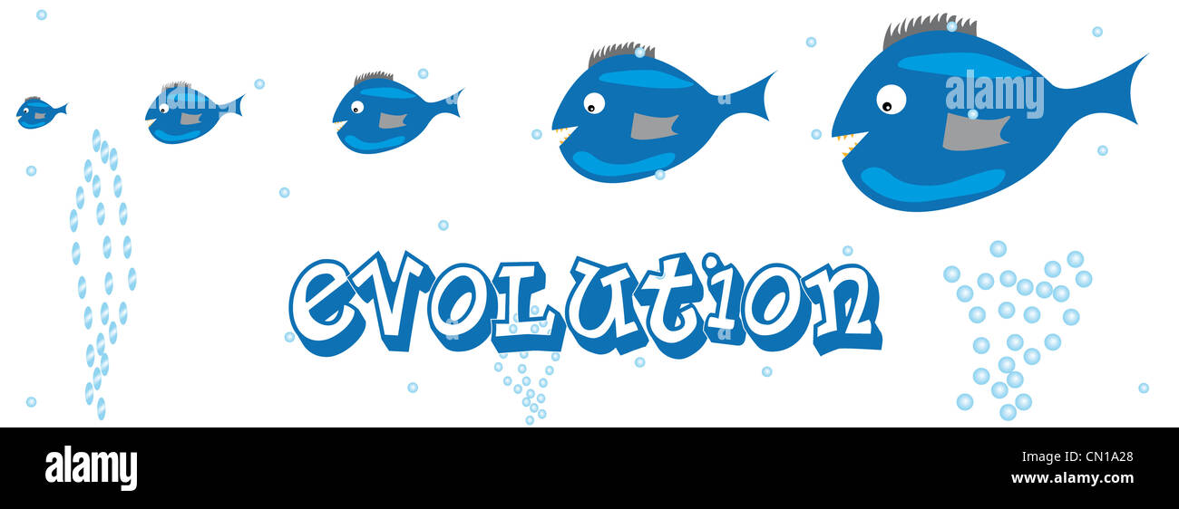 Big fish under water Cut Out Stock Images & Pictures - Alamy