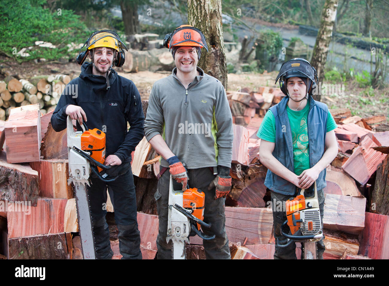 Chainsaw and tree surgeon hi-res stock photography and images - Alamy
