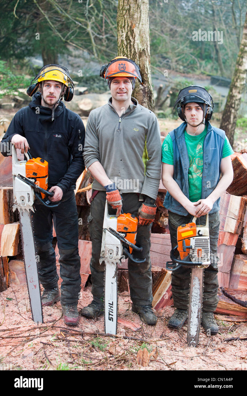 Chainsaw and tree surgeon hi-res stock photography and images - Alamy