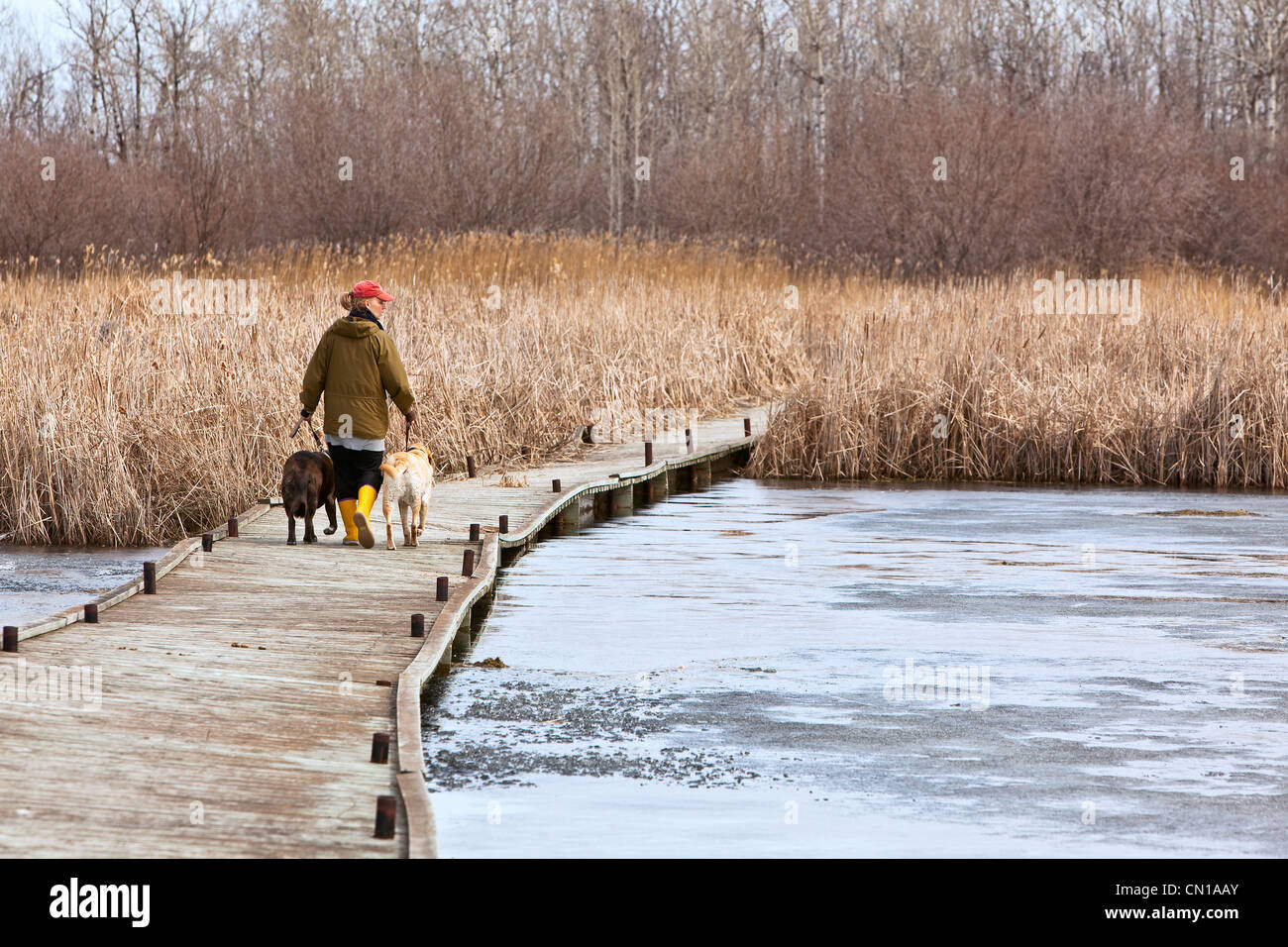 Spring hiking in Grassy Narrows Marsh, Hecla Island Provincial Park ...