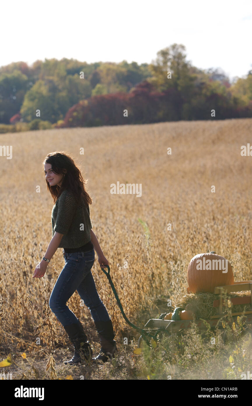 Pulling pumpkin in wagon hi-res stock photography and images - Alamy