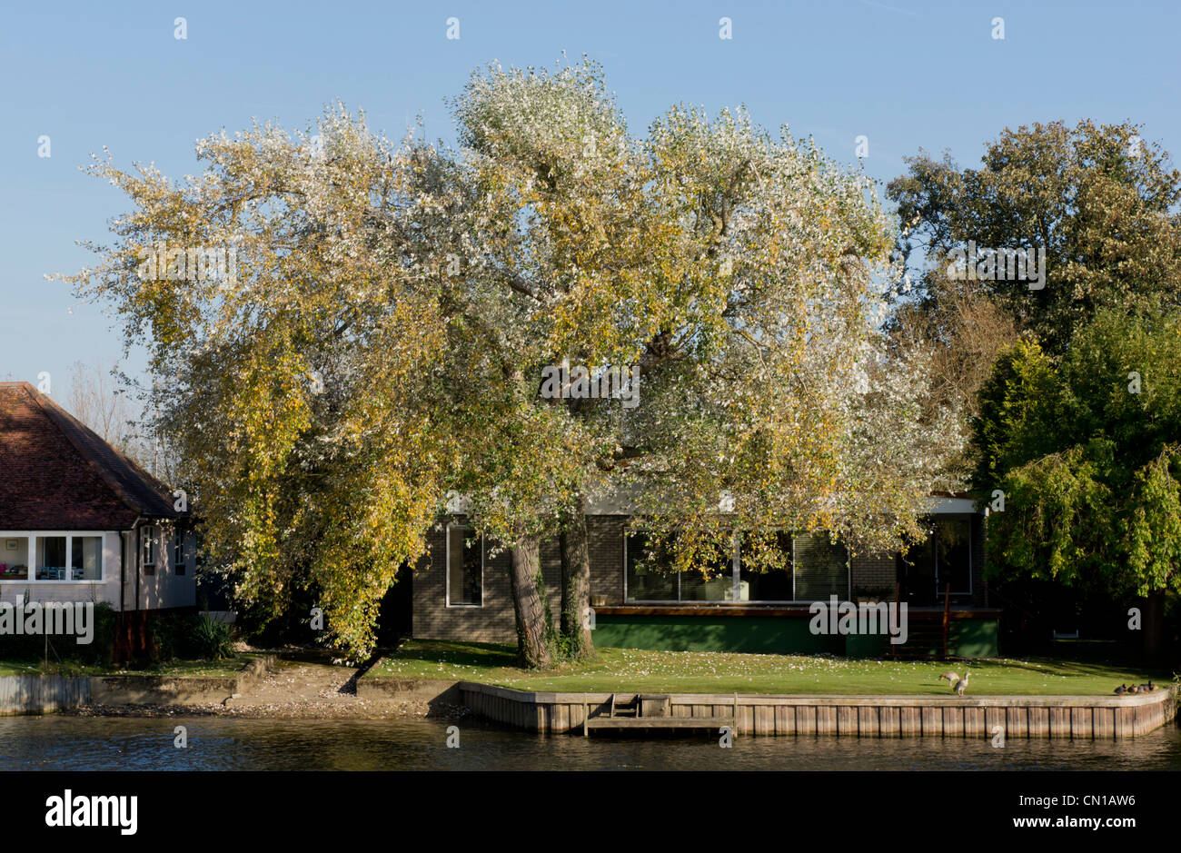 Windsor riverside hi-res stock photography and images - Alamy