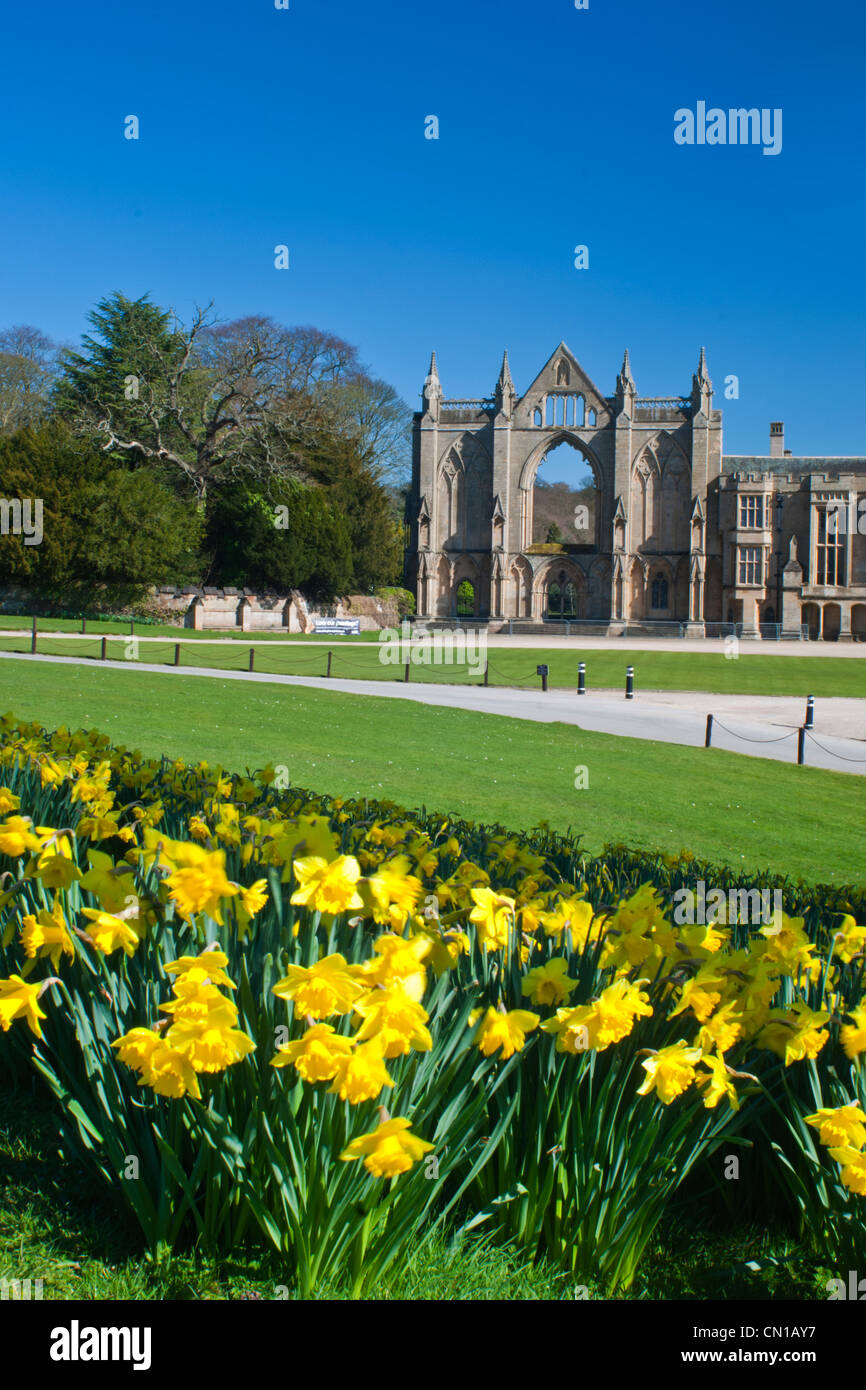 Newstead Abbey High Resolution Stock Photography and Images - Alamy
