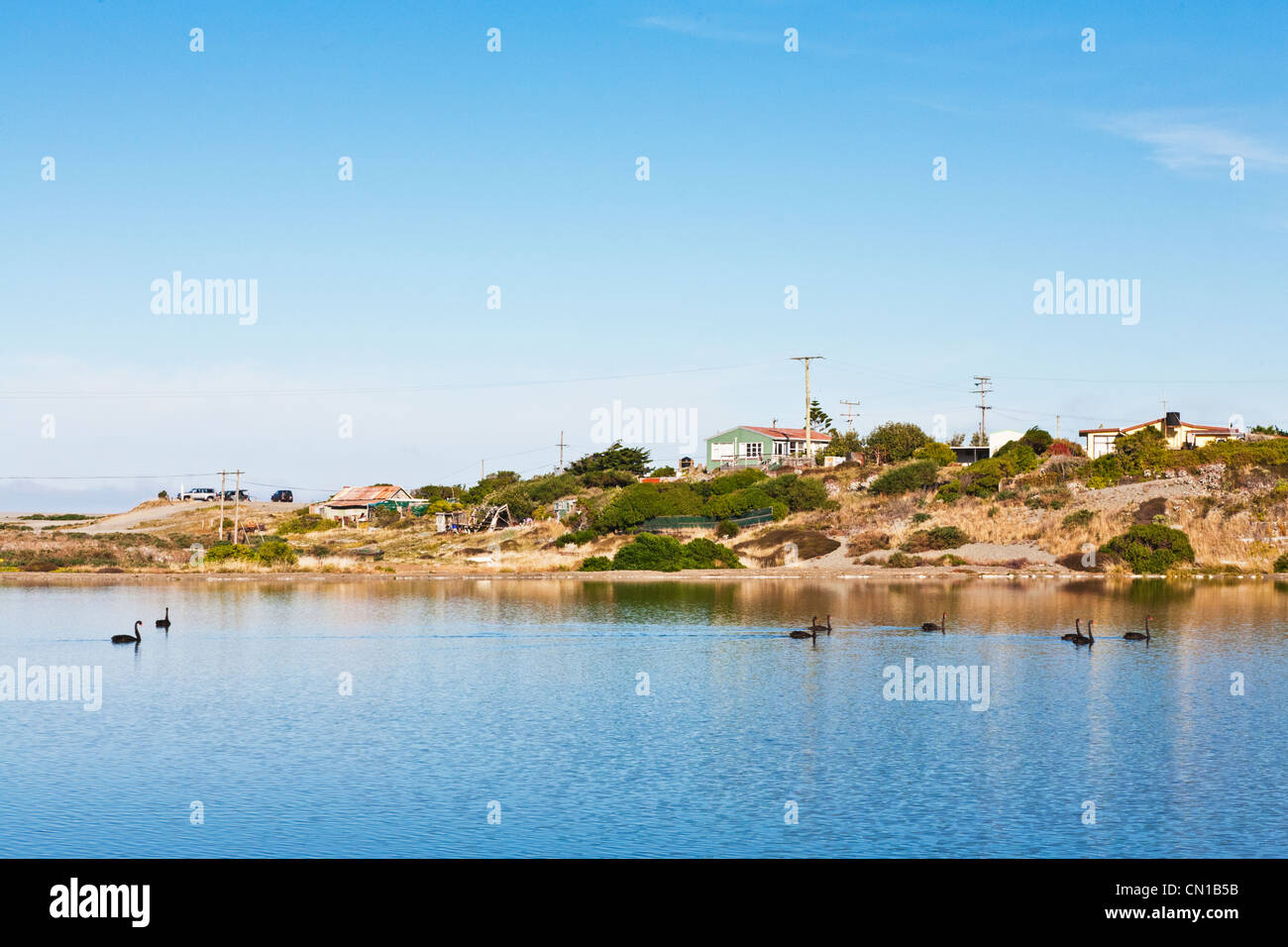 Lake forsyth hi-res stock photography and images - Alamy