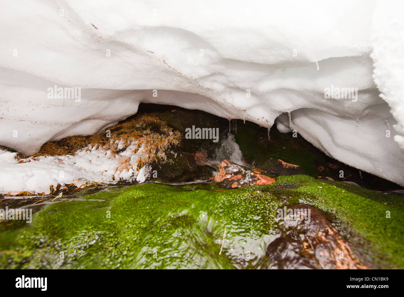 A hole caused by a snow bank collapsing over the top of a stream in ...