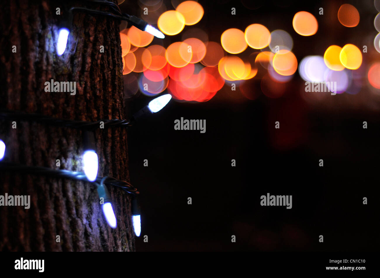 Close up of lights around a tree, Toronto, Ontario Stock Photo - Alamy
