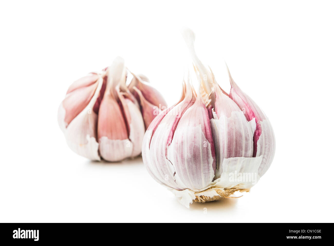 Garlic on a white background Stock Photo - Alamy