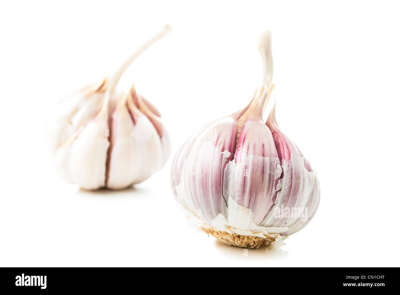 Garlic on a white background Stock Photo - Alamy