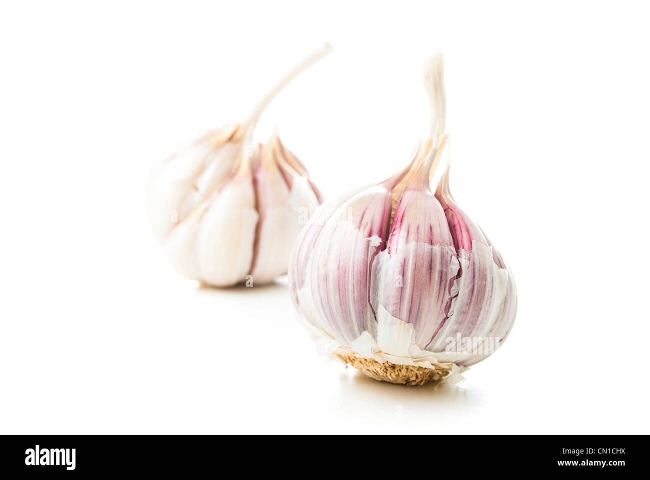 Garlic on a white background Stock Photo - Alamy