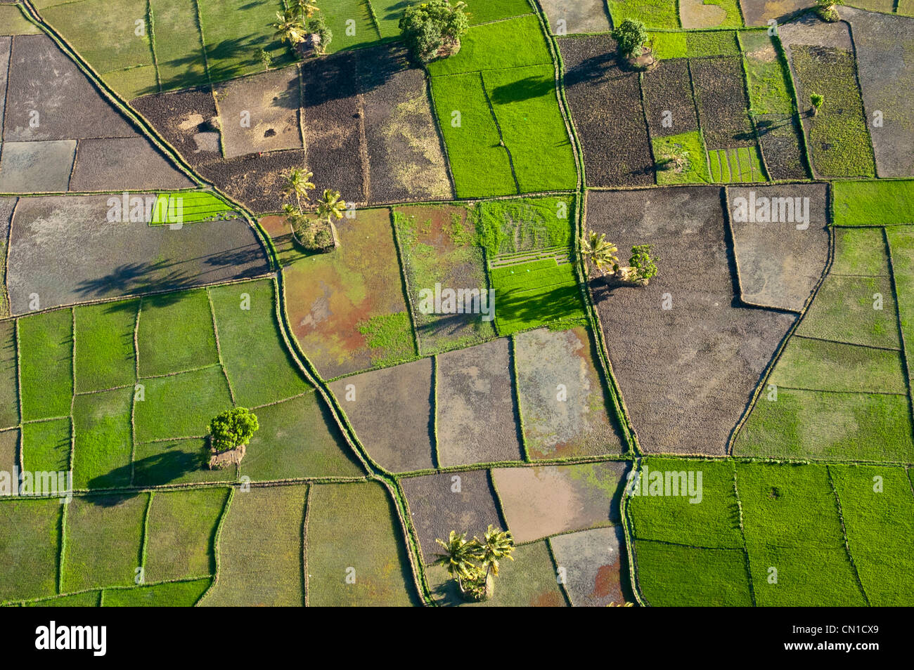 Aerial view rice field structure hi-res stock photography and images ...