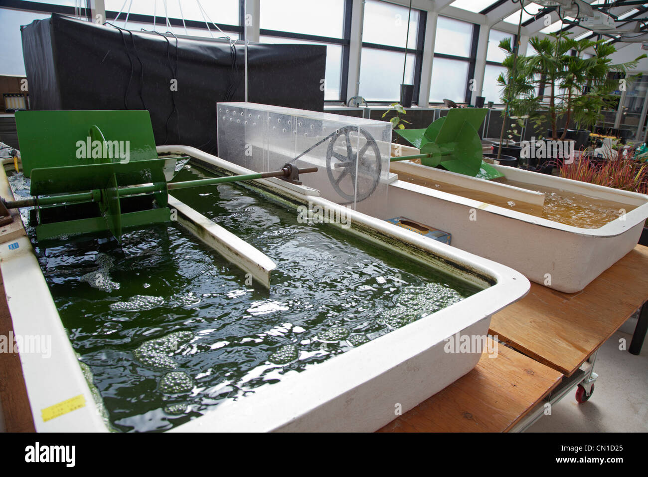 Research on renewable energy at the National Renewable Energy ...