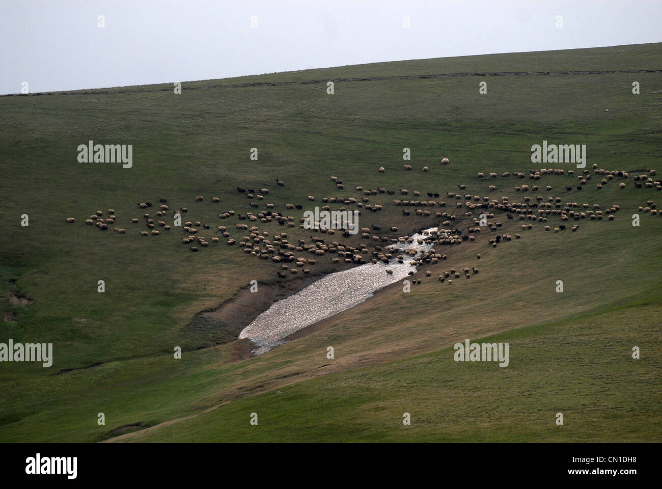 Turkey scenery and nature Stock Photo - Alamy