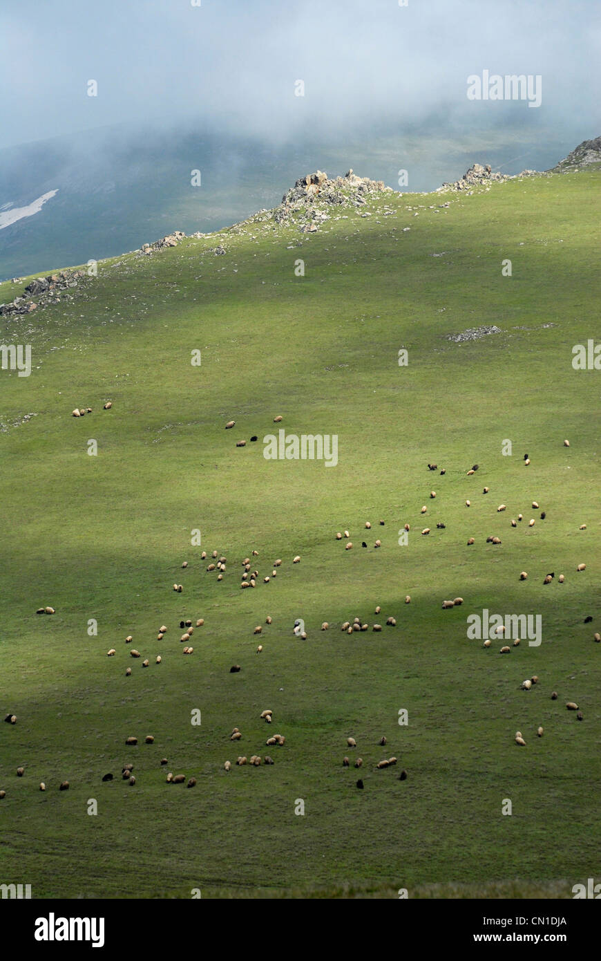 Turkey scenery and nature Stock Photo - Alamy