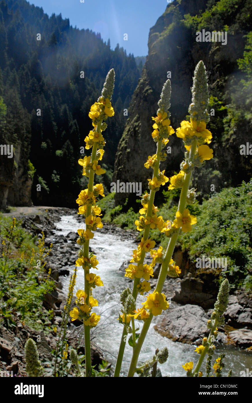 Turkey scenery and nature Stock Photo - Alamy