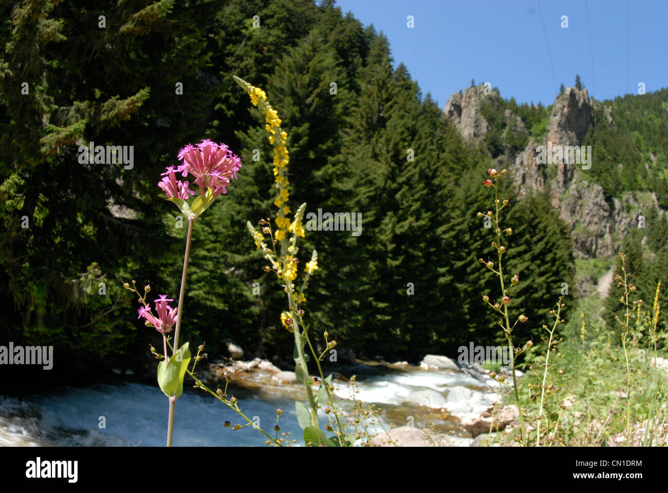 Turkey scenery and nature Stock Photo - Alamy