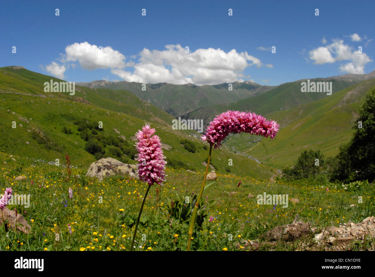 Turkey scenery and nature Stock Photo - Alamy
