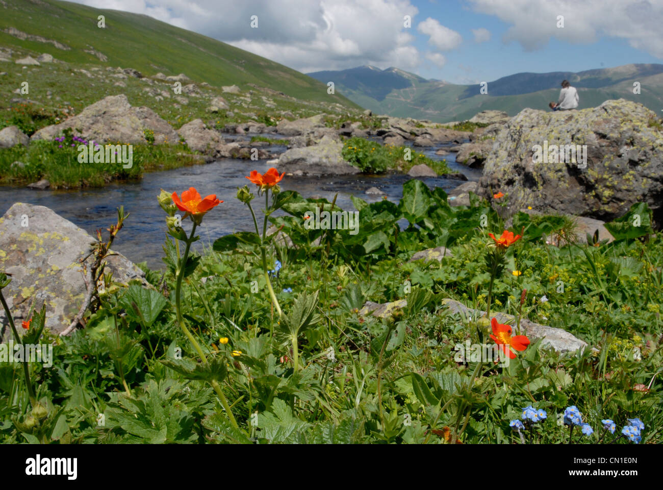 Turkey scenery and nature Stock Photo - Alamy