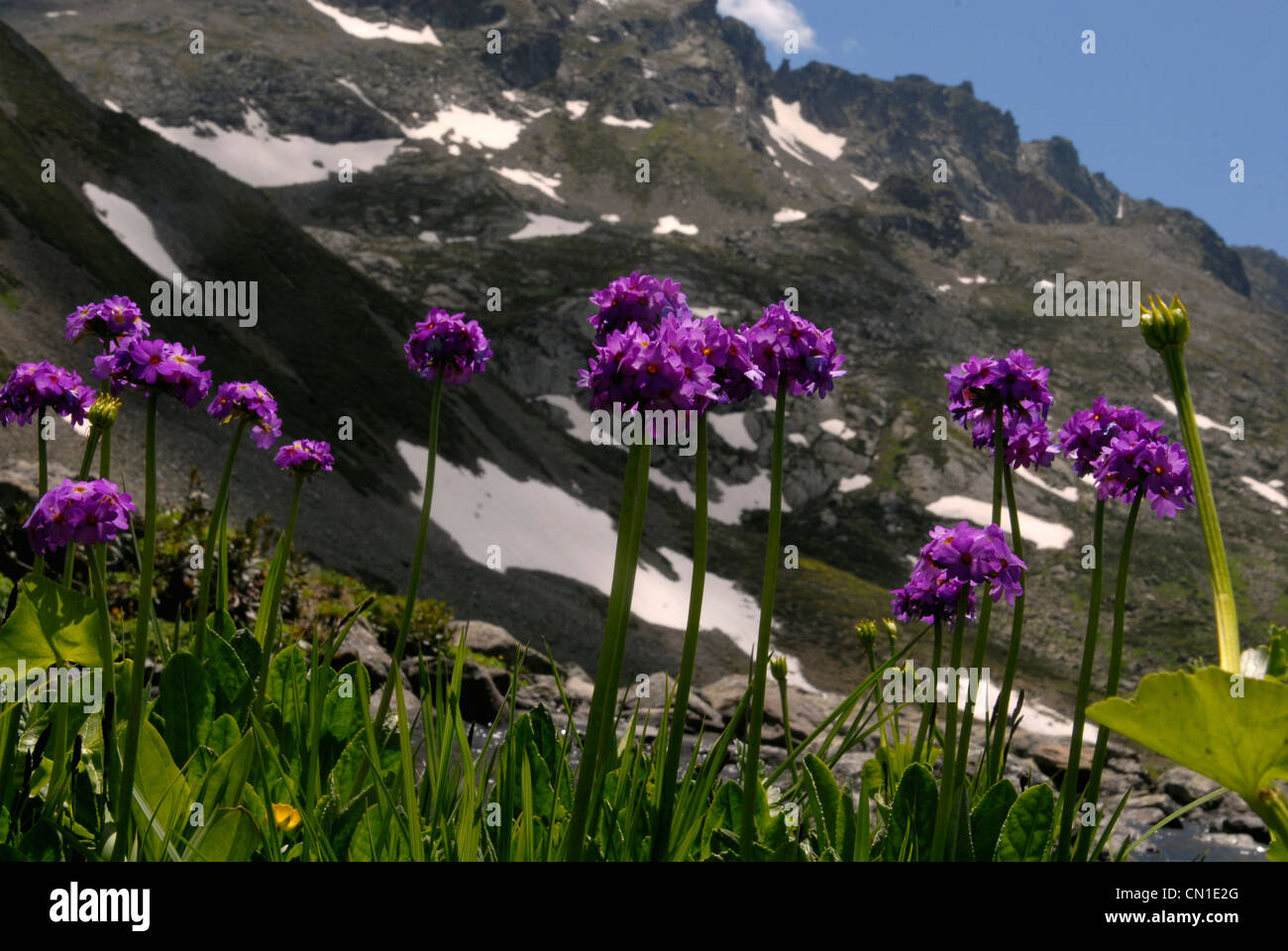 Turkey scenery and nature Stock Photo - Alamy