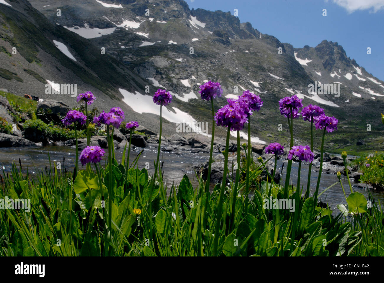 Turkey scenery and nature Stock Photo - Alamy