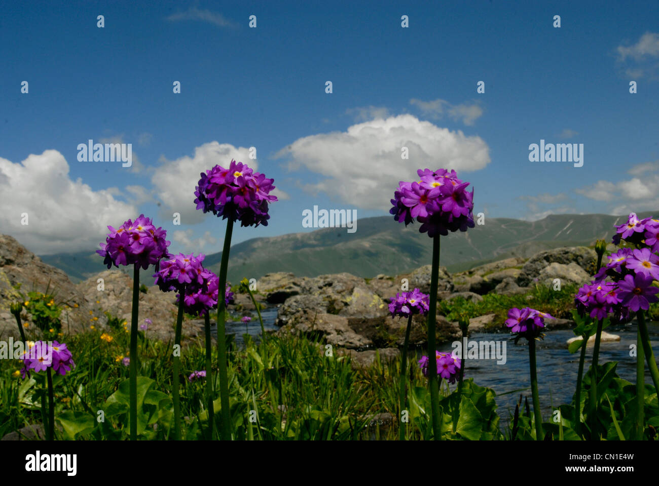 Turkey scenery and nature Stock Photo - Alamy