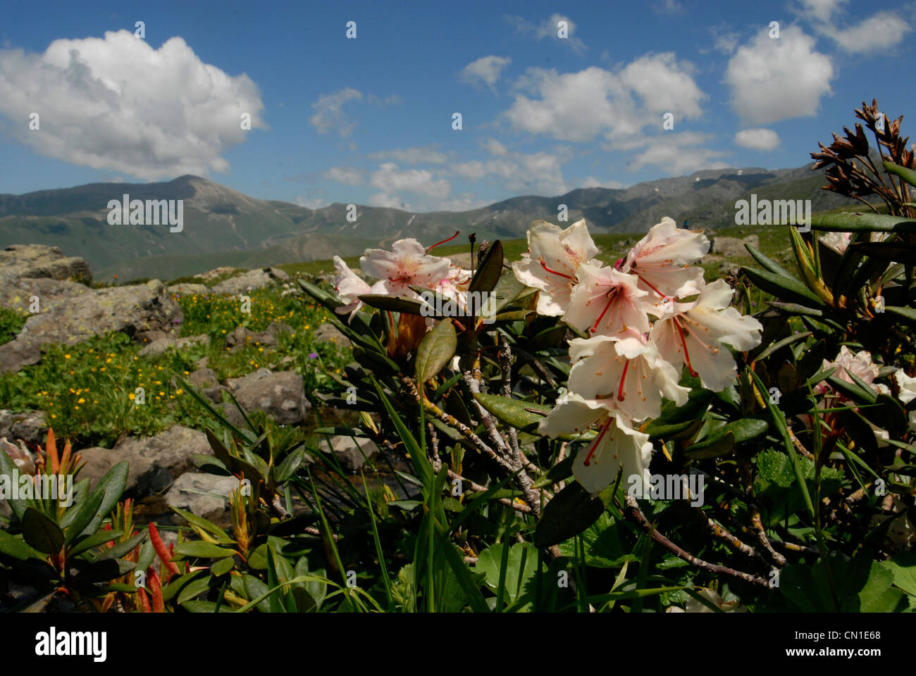 Turkey scenery and nature Stock Photo - Alamy