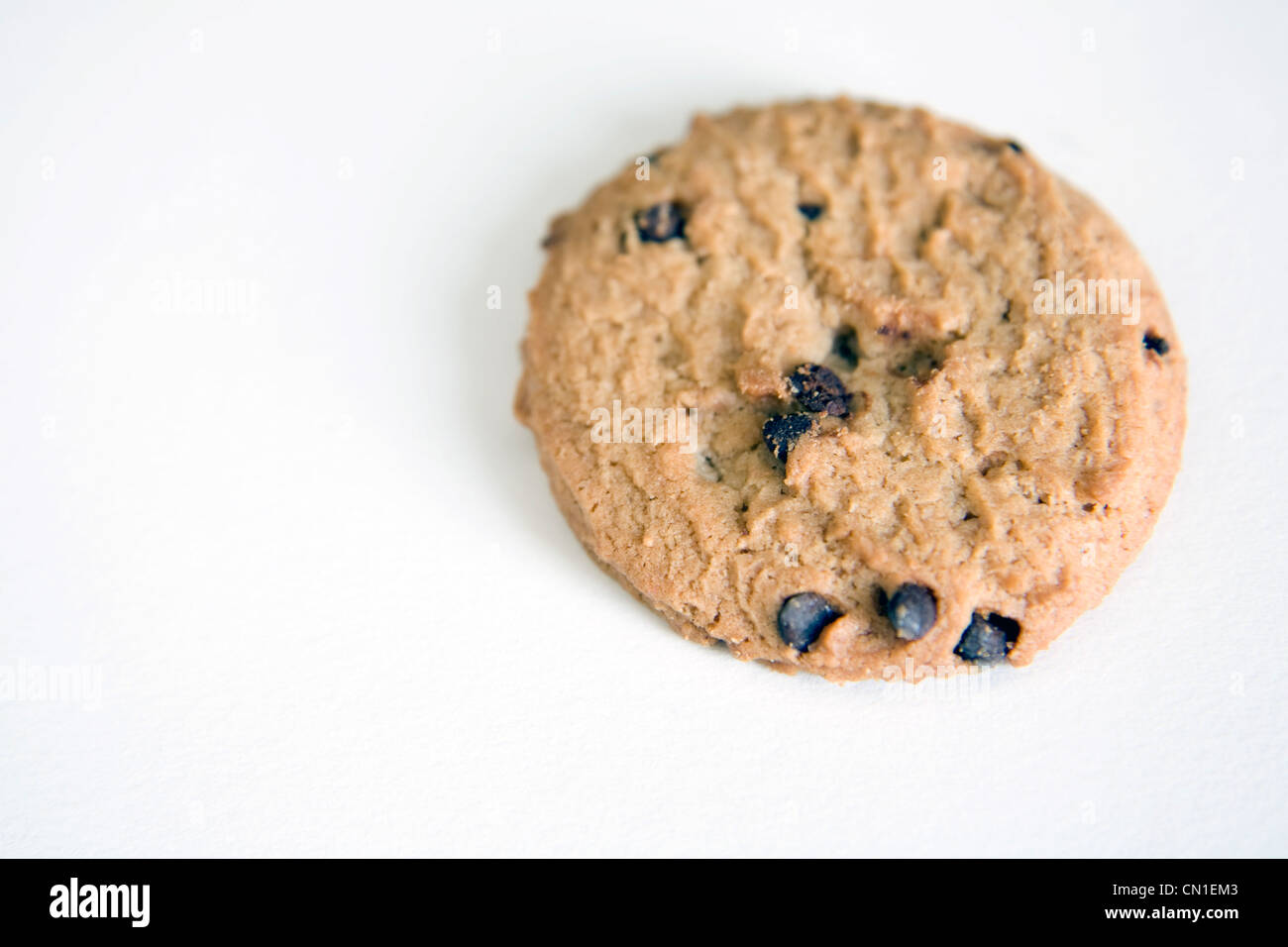 One Chocolate Chip Cookie on White Background Stock Photo - Alamy