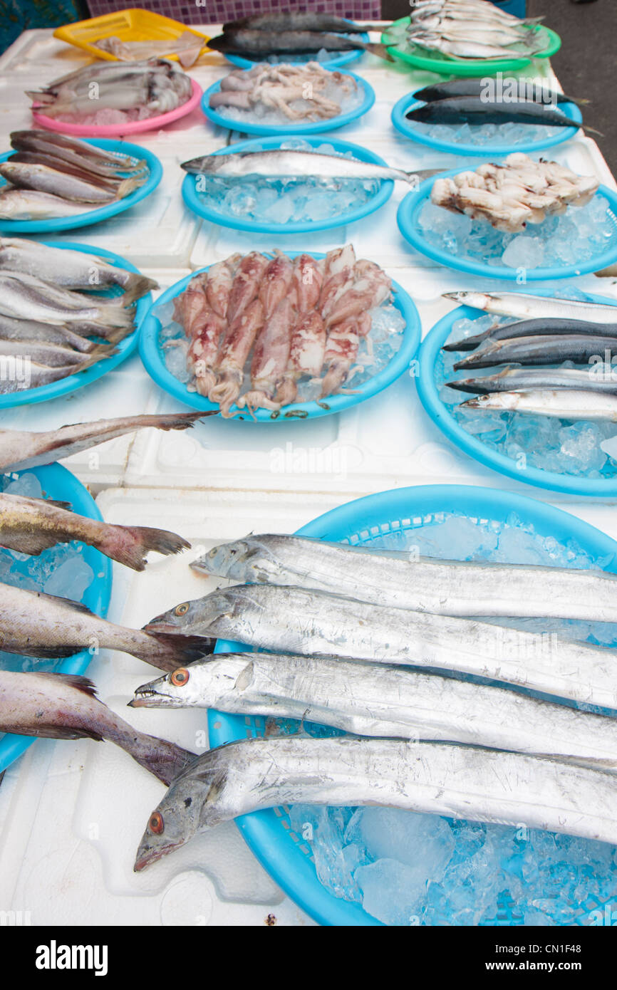 Assorted raw fish for sale Stock Photo - Alamy