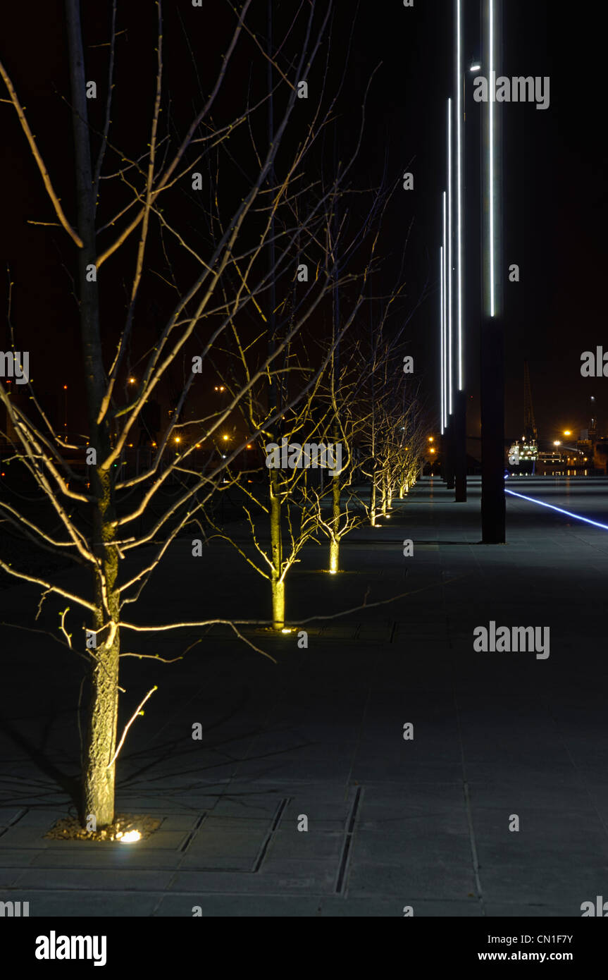 28 trees planted along the Titanic Slipways, one for each person killed ...