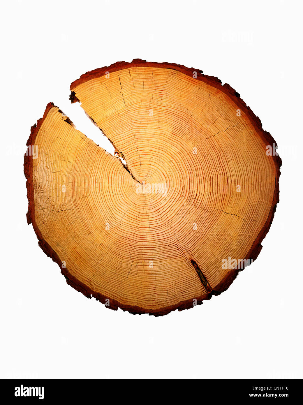 Wood Slice with Wedge Stock Photo - Alamy