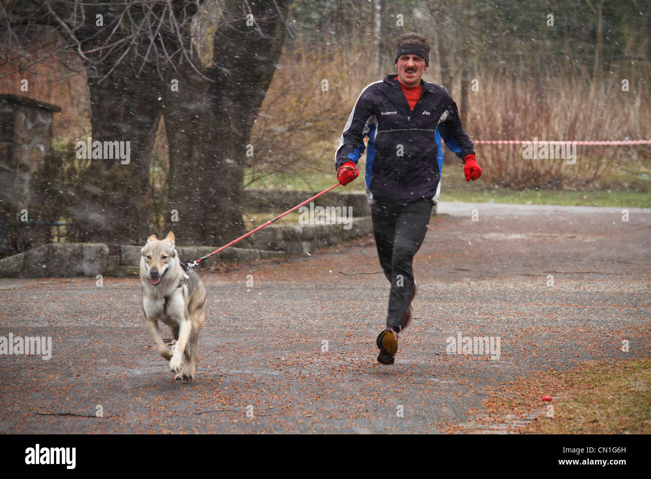 Runner with a dog Stock Photo - Alamy
