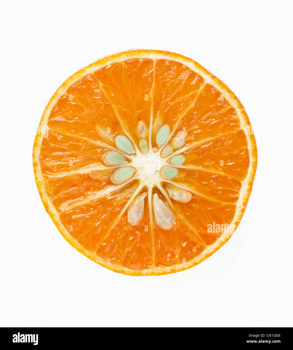 Fresh Orange Sliced in Half Stock Photo - Alamy