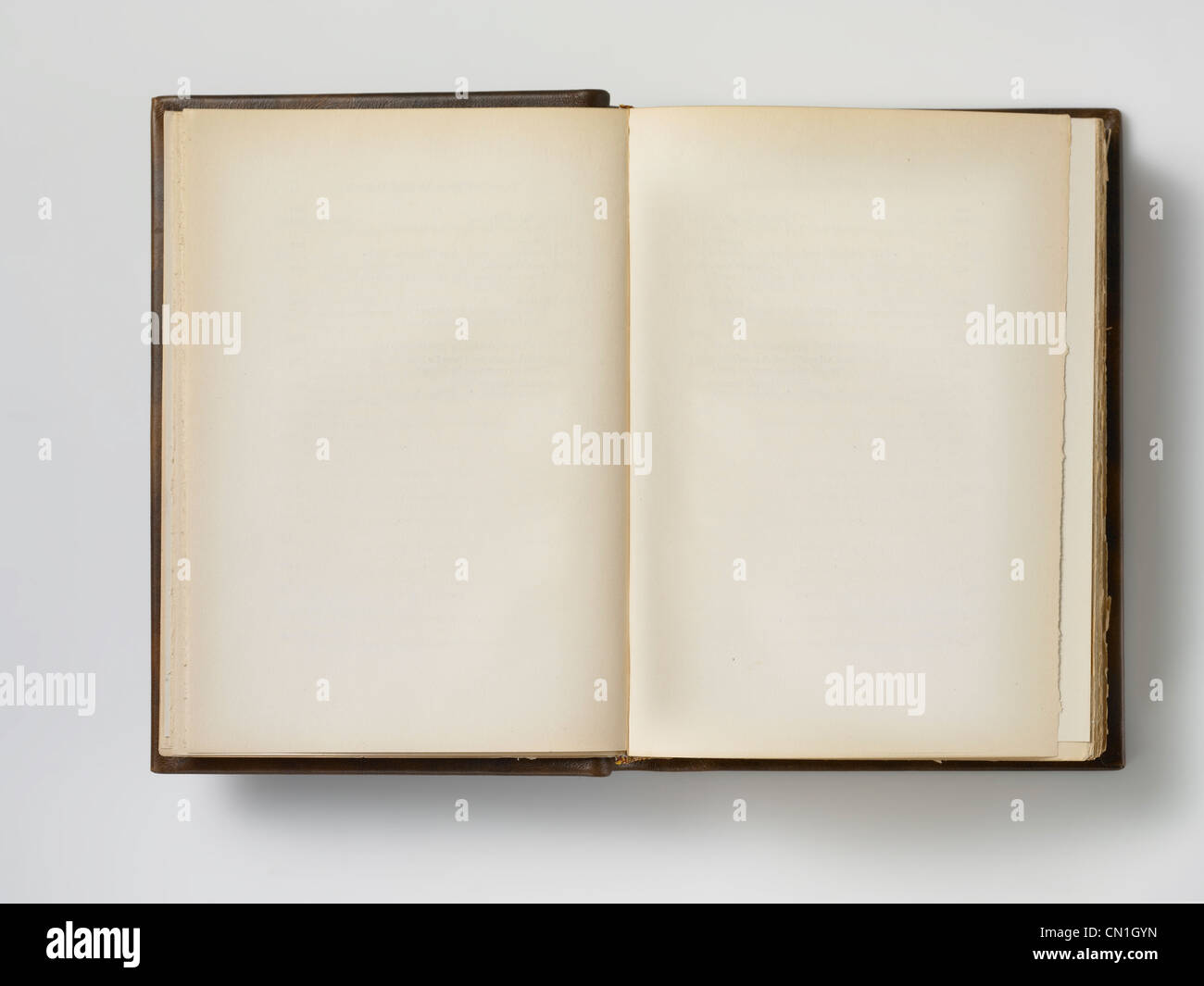 Open Book With Blank Pages Stock Photo - Alamy