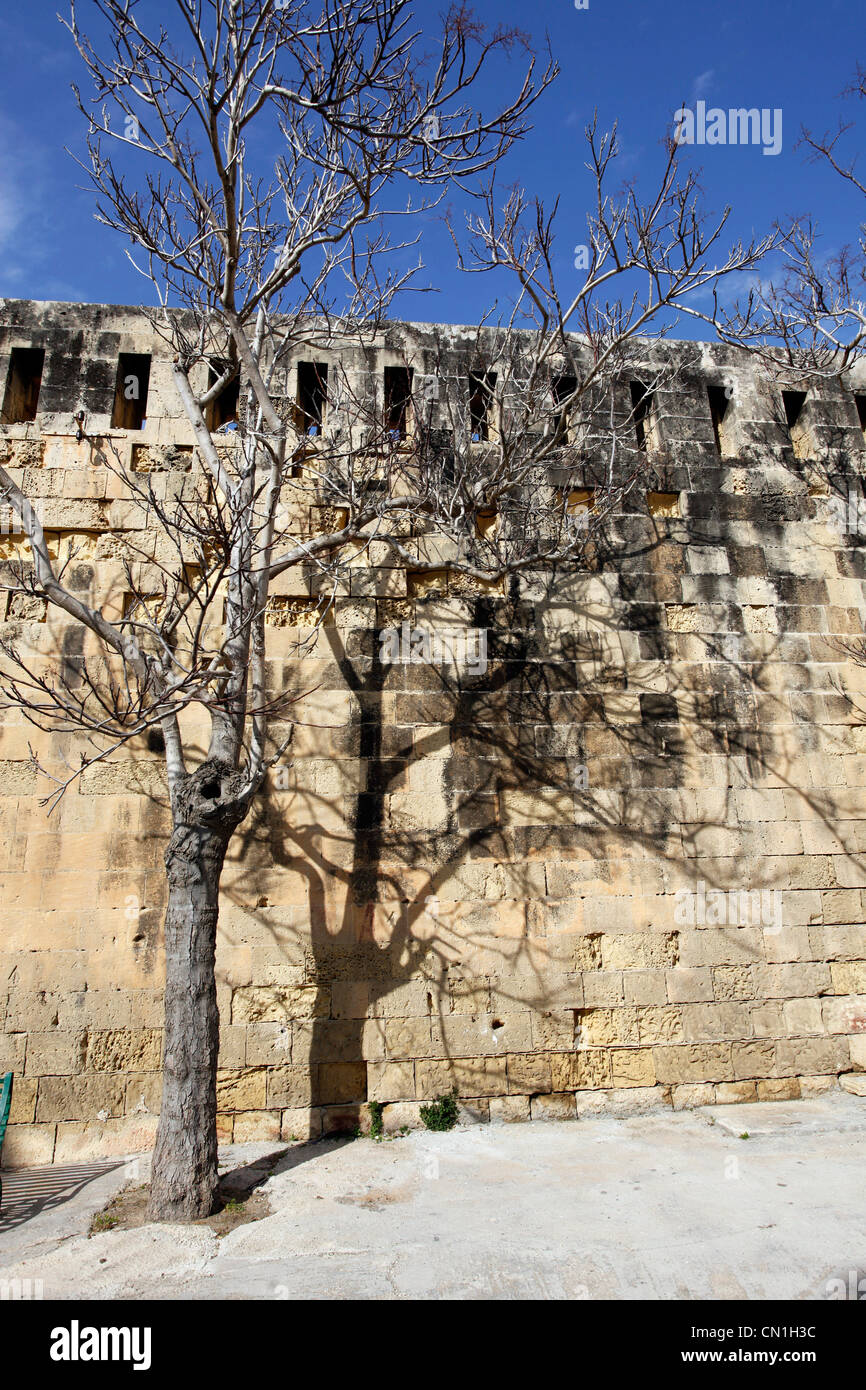 Malta trees hi-res stock photography and images - Alamy