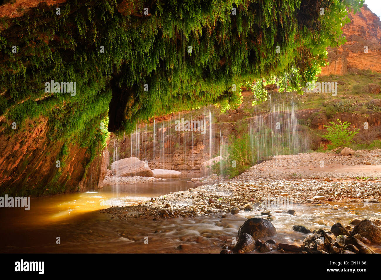 The waters of Showerbath Spring falling into Kanab Creek, Grand Canyon ...