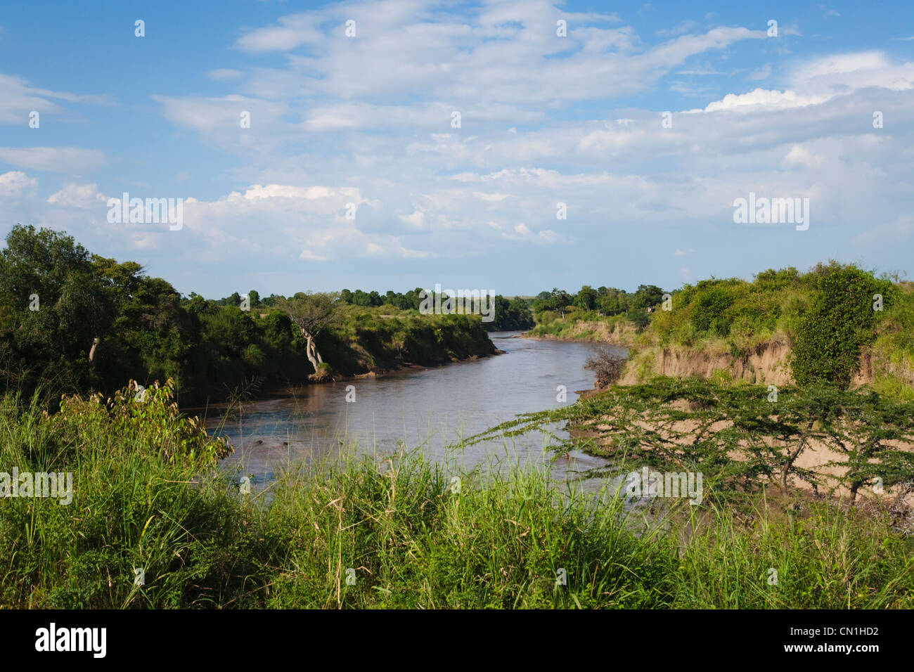 Mara River, Masai Mara National Reserve, Kenya Stock Photo - Alamy