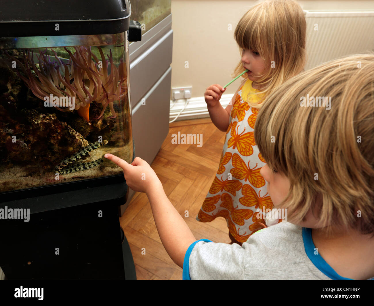 Young Boy And Girl Looking At Fish In Saltwater Fish Tank Boy Pointing ...