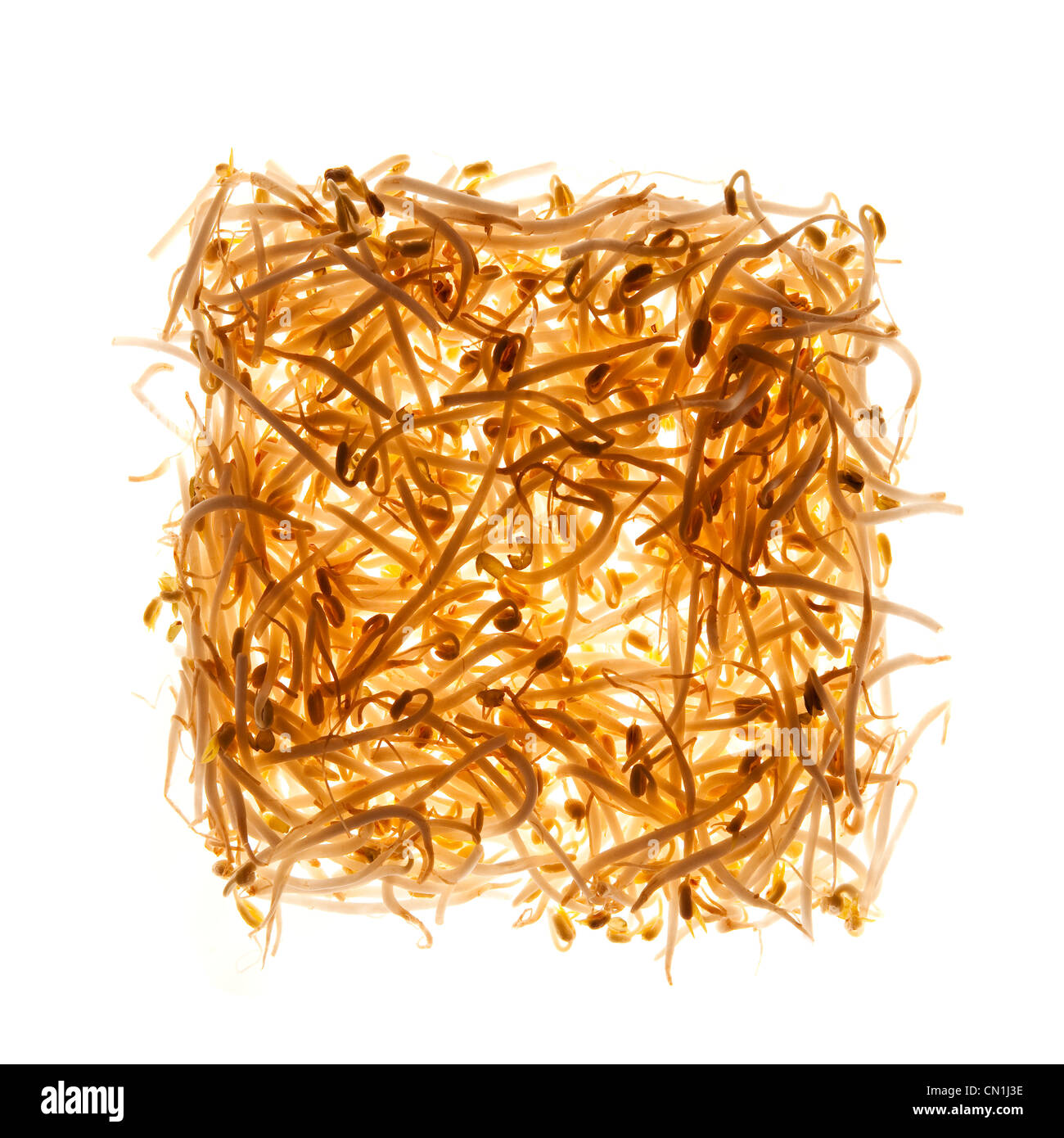 Mung Bean Sprouts Arranged in Square Shape Stock Photo - Alamy