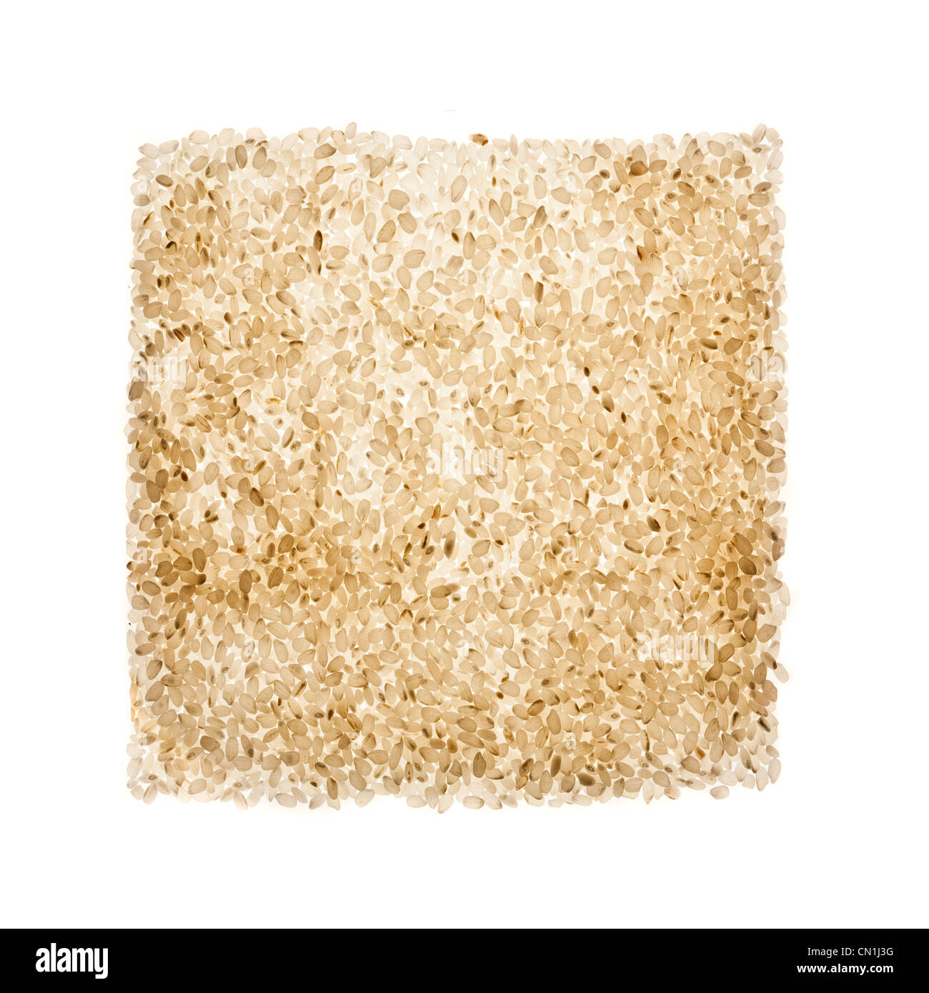 Rice Grains Arranged in Square Shape Stock Photo - Alamy