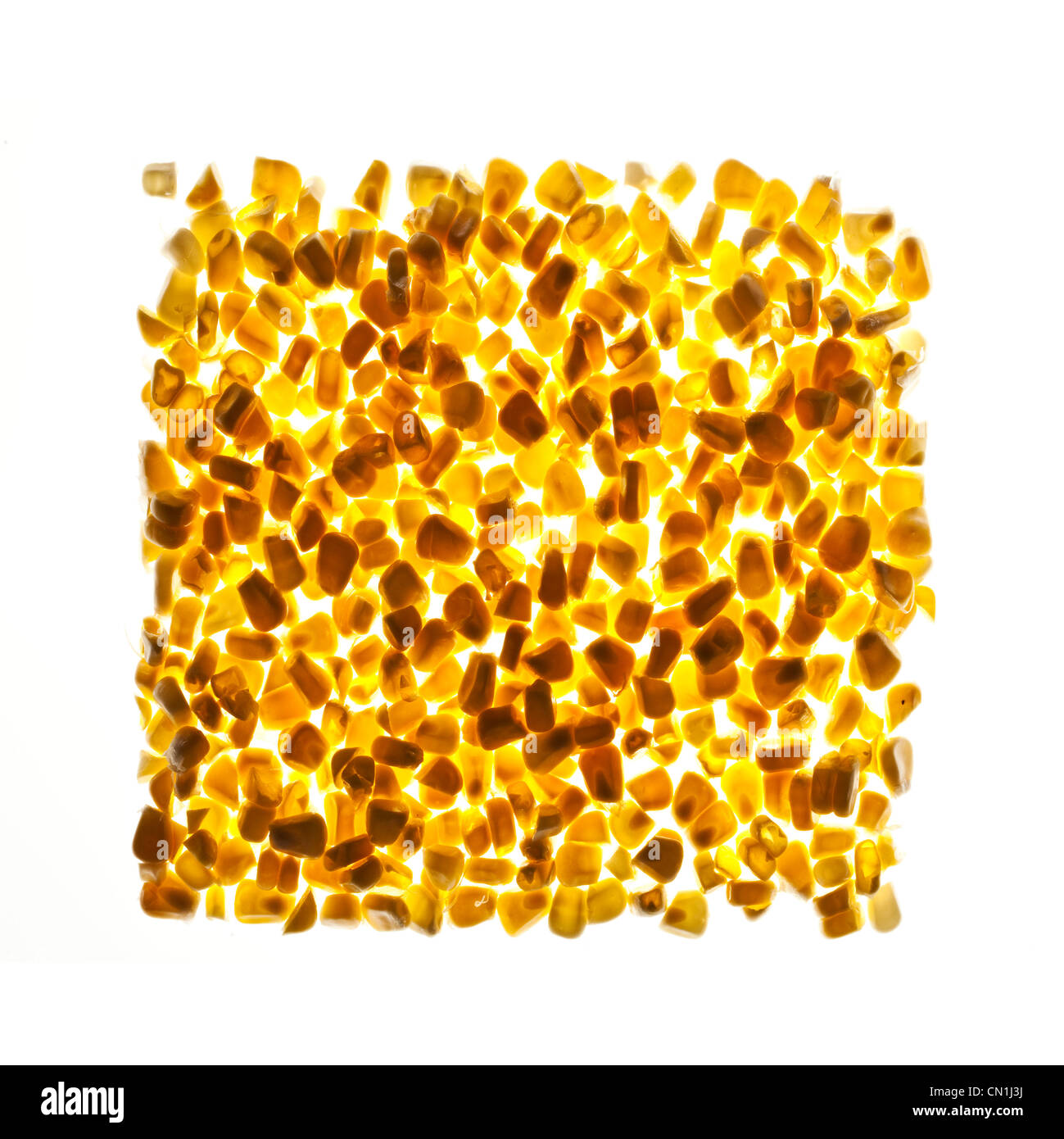 Sweet Corn Kernels Arranged in Square Shape Stock Photo - Alamy