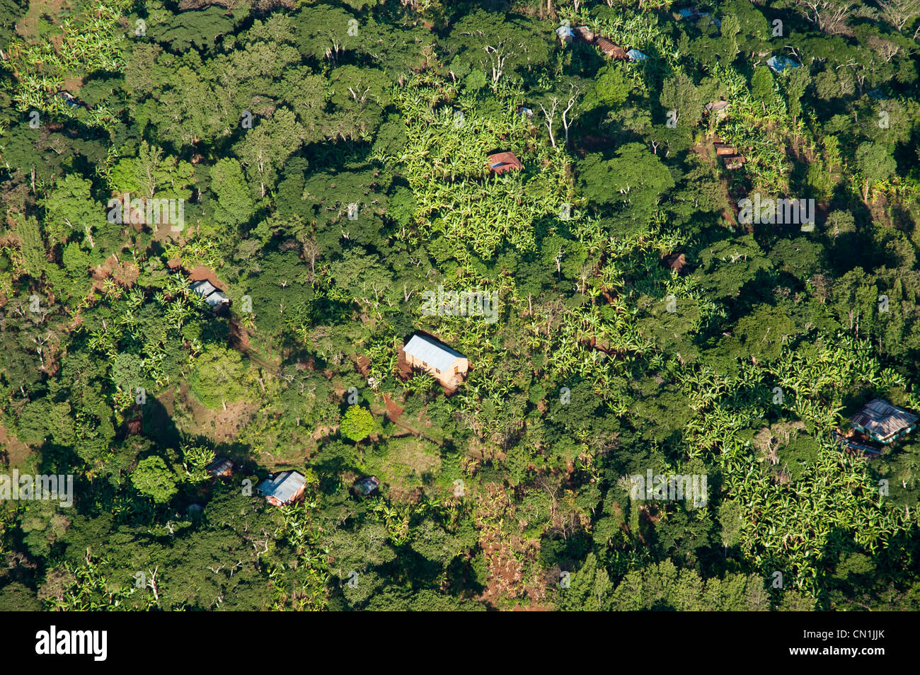 The Chagga homegardens, a multistoried cropping system on the slopes of ...