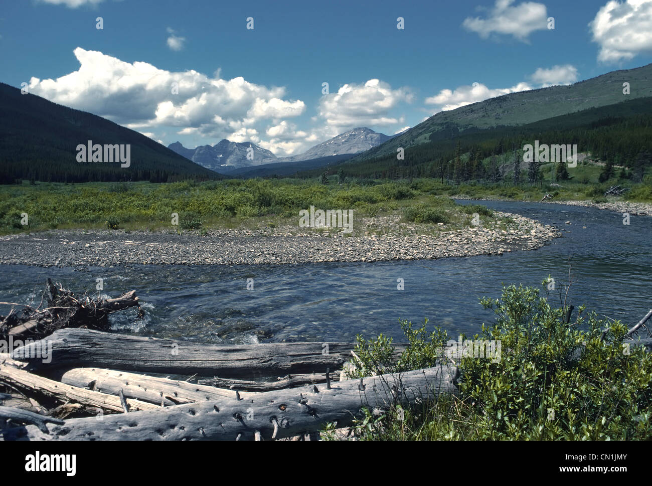 Elbow River in the Kananaskis Valley Stock Photo - Alamy