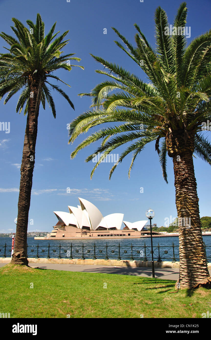Sydney Opera House from Dawes Point Park, Sydney Harbour, Sydney, New ...