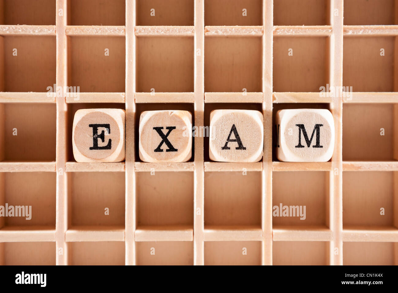 Exam word construction with letter blocks / cubes and a shallow depth ...