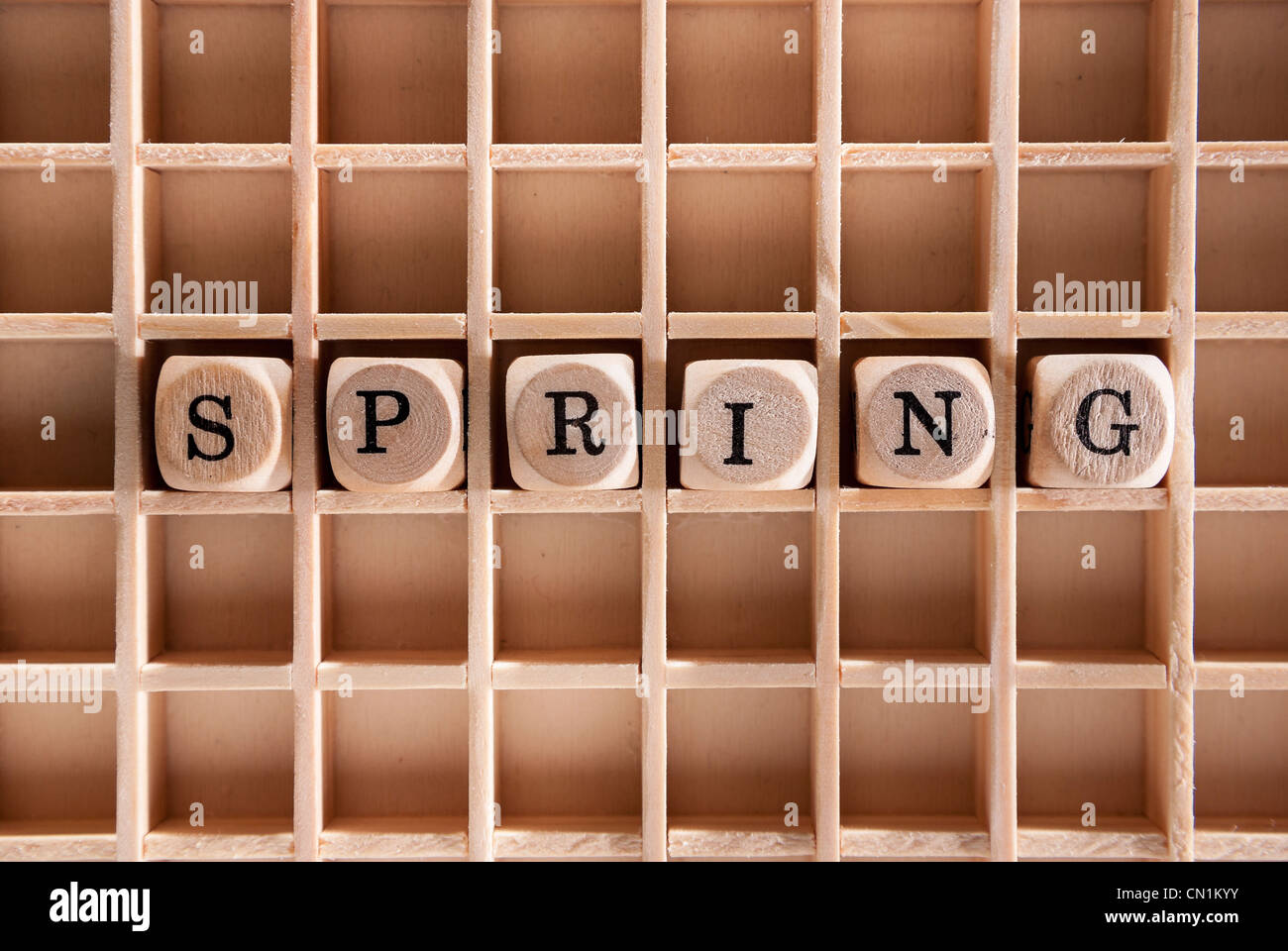 Spring word construction with letter blocks / cubes and a shallow depth ...
