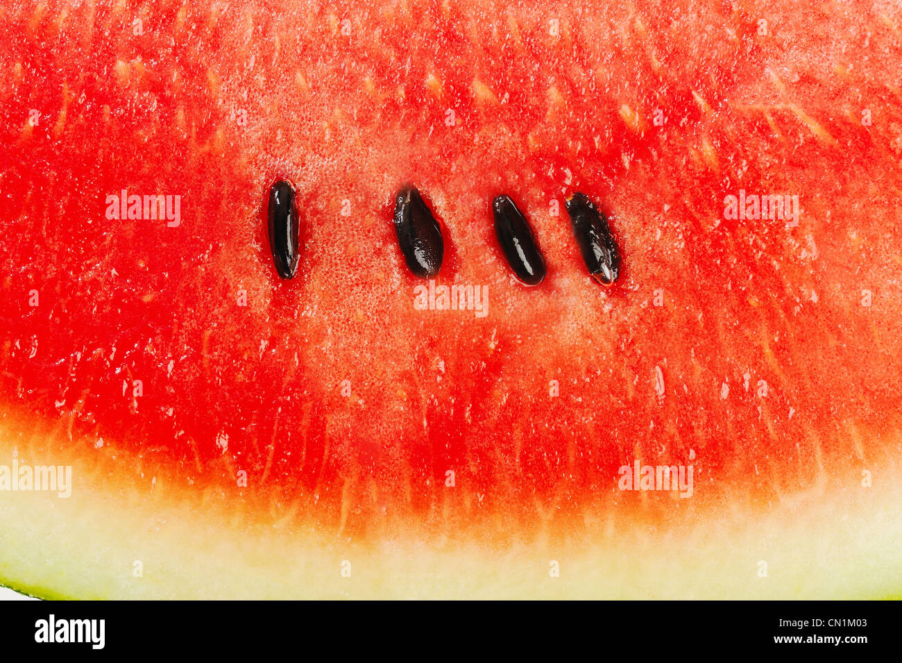 Watermelon hi-res stock photography and images - Alamy