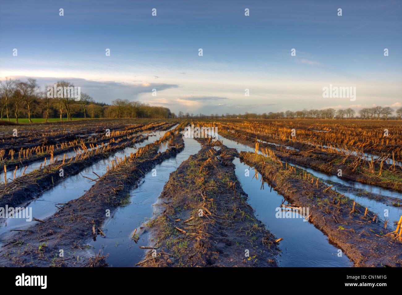 Muddy Field Sky Stock Photos & Muddy Field Sky Stock Images - Alamy