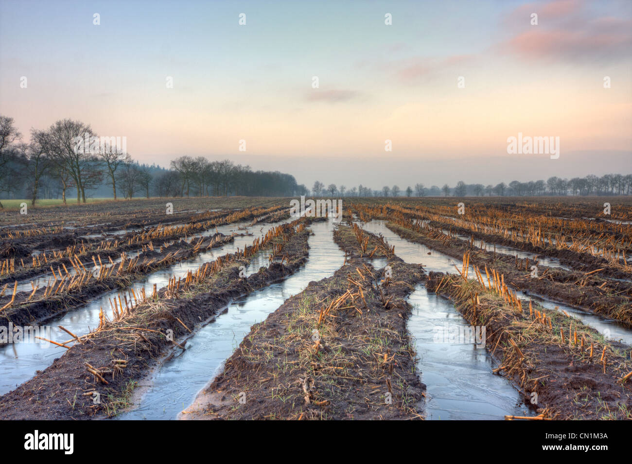 Muddy Field Sky Stock Photos & Muddy Field Sky Stock Images - Alamy